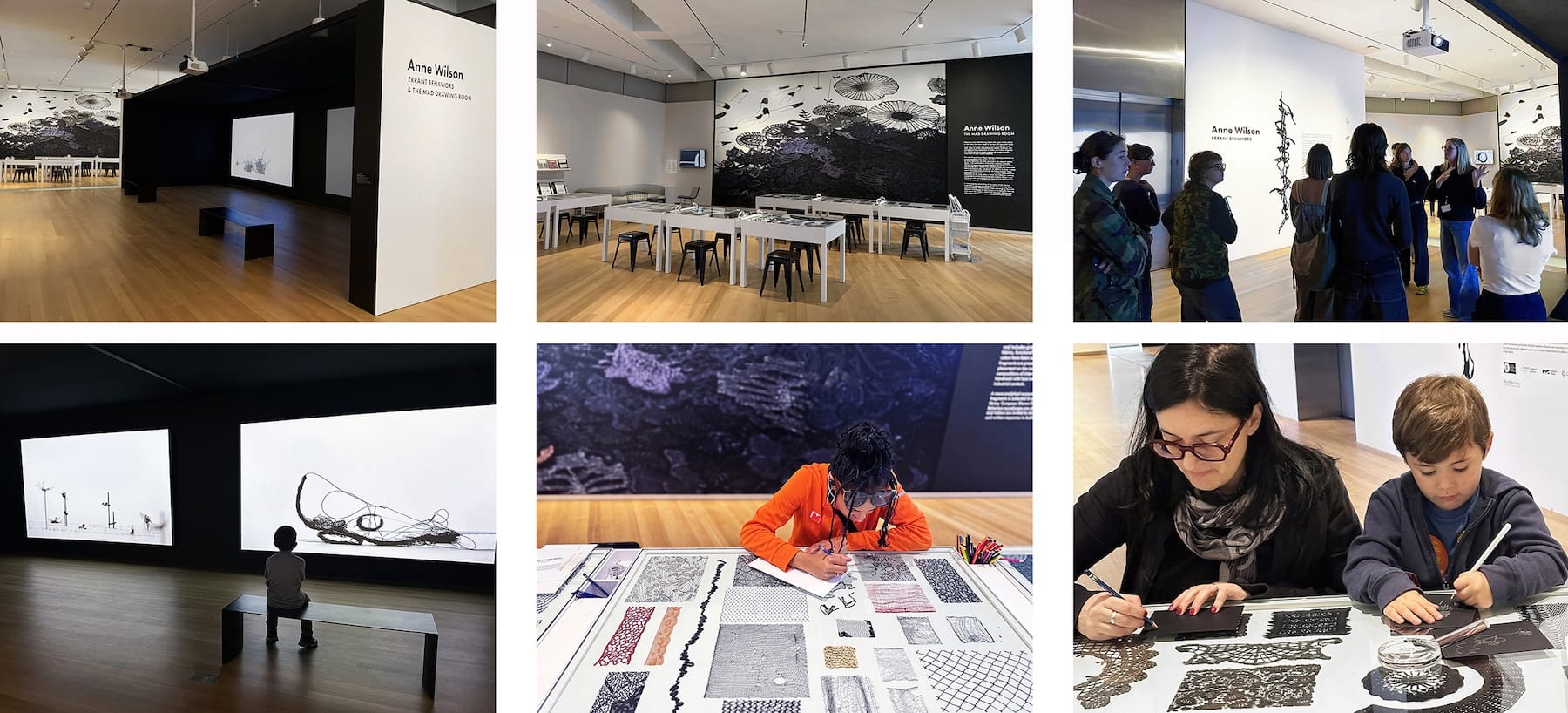 mad drawing room introduction - Anne Wilson Artist